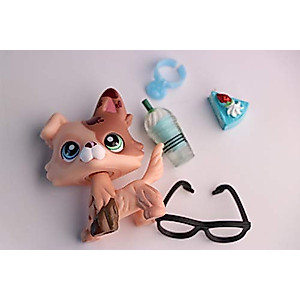 Judy Custom Erect Ears Butter Collie, OOAK Rare Figures Tan and Brown Buddy with Different Eyes with lps Accessories