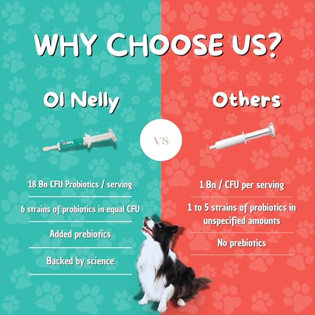 Ol Nelly Prebiotic & Probiotic Dog Probiotic Paste, 6 Strains of Bacteria,18 Bi CFU's + Vitamins, Minerals- Upgraded Formula for Fast Balance GI, Dogs Probiotic Paste (14 g)