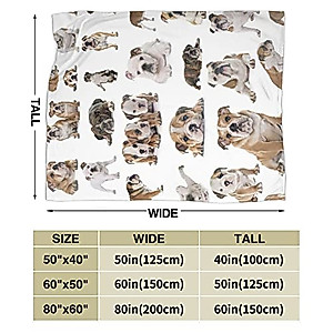 Aurary English Bulldogs Soft Throw Blanket for Kids and Adult Anime Ultra Cozy and Luxury Decorative Throw Blanket for Couch,Bed,Car and Sofa 60''x50'', Black (10826)