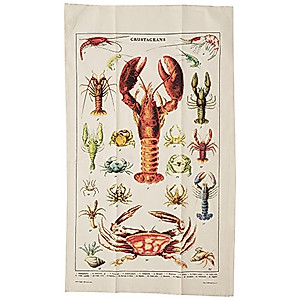 Cavallini Papers Curstaceans Vintage Crustaceans Cotton Tea Towel