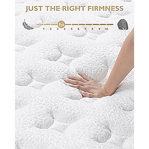 BedStory Queen Size Mattress - 10 Inch Hybrid Mattress Medium Firm - Individually Wrapped Coils for Motion Isolation