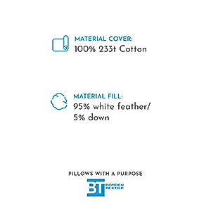 PILLOWS WITH A PURPOSE Pillow Inserts - Pack of 2-12" x 16" Rectangular Decorative Throw or Sham for Couch - Bed - Sofa