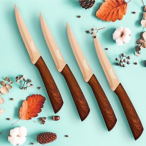 Hampton Forge Raintree 4Pc Steak/Clam, 0.55 LB, Multi