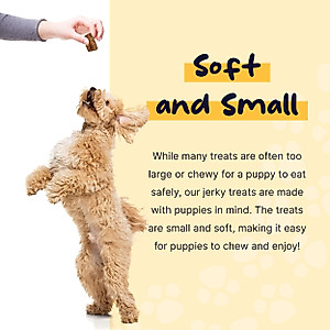 Smarty Pup Salmon Jerky - 5 oz of Fruit, Veggies, and Salmon Dog Treats – Puppy Jerky Made with Apples, Carrots, Sweet Potato, Wild Alaskan Salmon, Blueberries, Cranberries, and More