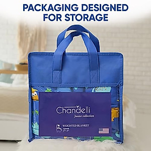 CHANDELLI JR Dinosaur Kids Weighted Blanket 36" x 48", 5 LB Weighted Blanket For Toddlers, 100% Cotton Soft Fabric Material, Premium Glass Beads, Heavy Blanket Good for Lap Blanket, Great Toddler Gift