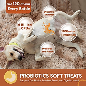 Probiotics for Dogs, Dog Probiotics for Digestive Health, Plus Pumpkin and Fish Oil, for Gut & Itchy, 102 Soft Chews