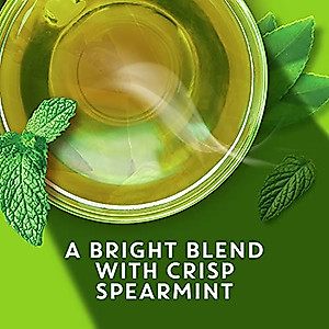 TAZO Tea K-Cups, Green Tea, Zen, Calming Tea, 16 Pods