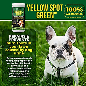 Yellow Spot Green™ Cures Urine Burns and Prevents Yellow Spots in Your Yard. Dog Urine Neutralizer for Lawns. Repair and Protect Grass from Dog Pee. Easy to Use Granules. Large 32 Ounce.
