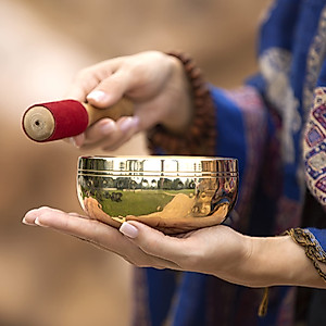 Telsha Meditative Brass Polished Singing Bowl with Mallet and Cushion - Tibetan Sound Bowls for Energy Healing, Mindfulness, Grounding, Zen, Meditation Exquisite, Unique Home Decor Gift Sets, 12