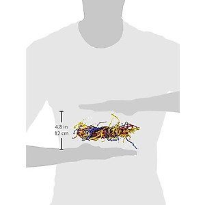 Super Bird Creations SB779 Fiesta Millet Holder Bird Foraging Toy, Small/Medium Bird Size, 9" x 1.5"