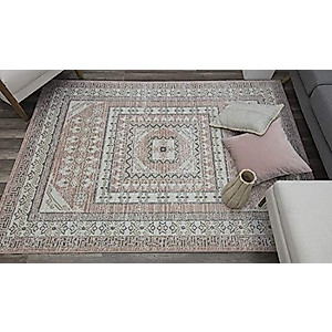 Rugs America Harper HY40A Carnation Transitional Vintage Area Rug, 5'x7'
