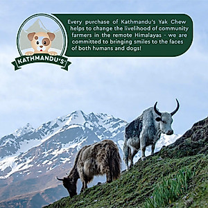 KATHMANDU'S Authentic Yak Cheese Himalayan Dog Chews - All Natural and Protein-Rich Nutrition Dog Treats, Long Lasting Chews for Aggressive Chewers, Odor & Gluten Free Yak Chew | Large (Pack of 2)