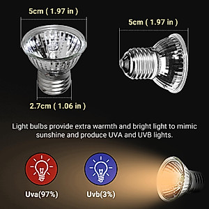CALPALMY 4-Pack 25W UVA+UVB Reptile Heat Bulbs - Heat and Light for Reptiles and Amphibian Tanks, Terrariums and Cages - Works with Turtle Lizard Various Amphibian Terrarium Heat Lamp Fixtures