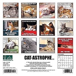 Cat-astrophe 2021 Mini Calendar