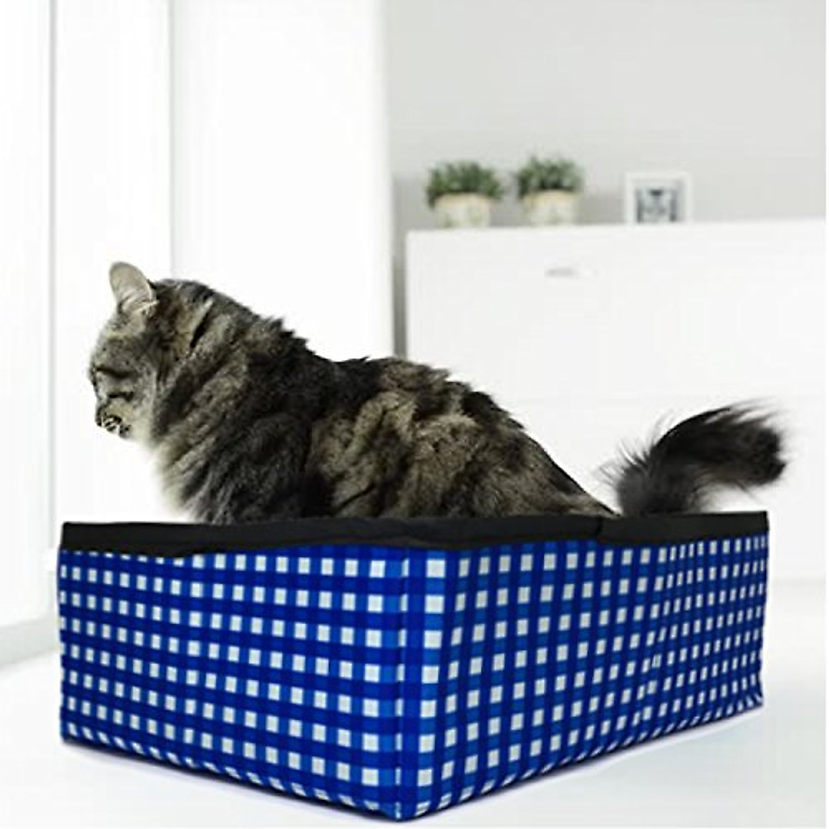 Pet Fit For Life Collapsible Portable Cat Litter Box (16"x12"x5") - Foldable and Packable Travel Litter Box for Cats - Includes Bonus Collapsible Water Bowl - Blue