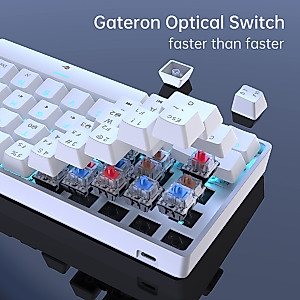 DIERYA DK61E 60% Percent Mechanical Gaming Keyboard, Optical Red Linear Switch, PBT Keycap, RGB Backlit, Waterproof, Wired USB C Mechanical Keyboard with Full Keys Programmable
