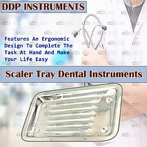 DDP SCALARS Tray SURGI Dental HOLLOWARE