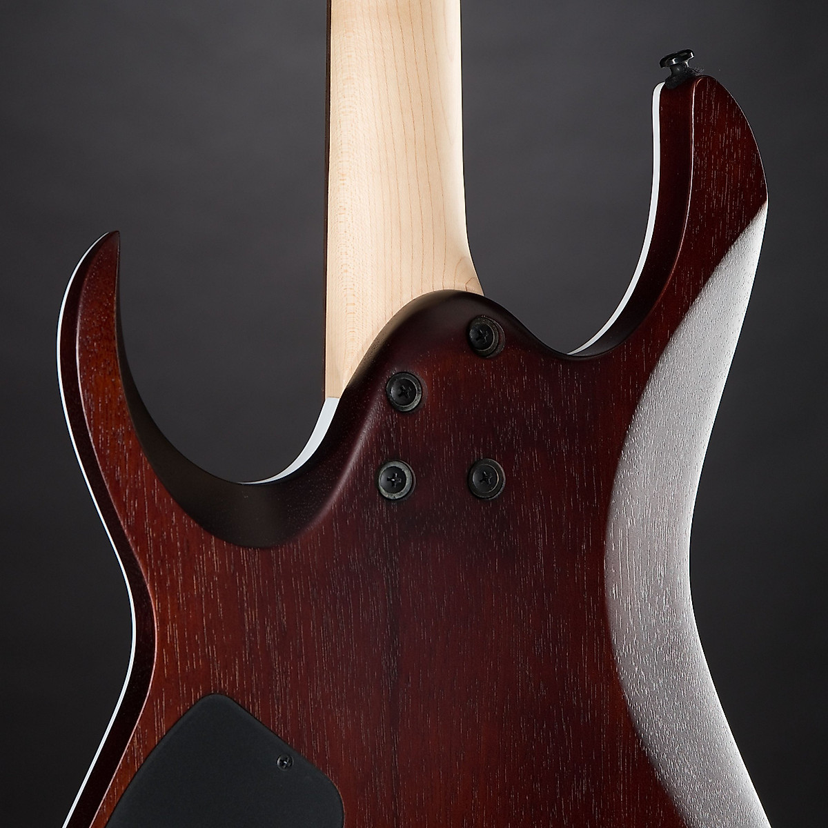 Ibanez RGA42FM Elec Gtr Dragon Eye Bst Flat