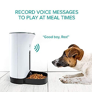 Arf Pets Automatic Pet Feeder Food Dispenser for Dogs, Cats & Small Animals – Features Distribution Alarms, Portion Control & Voice Recording – Timer Programmable Up to 4 Meals a Day