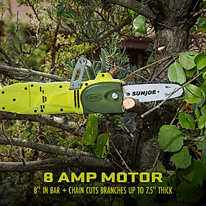 Sun Joe SWJ806E 8-Inch 8.0 Amp 2-in-1 Convertible Pole Chain Saw, Green