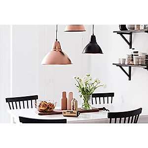 Montana Cans Montana GOLD 400 ml Color, Shock Black Spray Paint,MXG-S9000, 13.5 Ounce (Pack of 1)