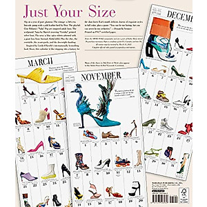 365 Days of Shoes Picture-A-Day Wall Calendar 2021