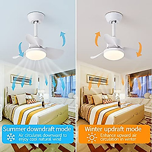 EMIKIRII Ceiling Fan with Lights and Remote,21'' Small Modern Ceiling Fan,Smart APP Control,Dimmable Metal Blades Flush Mount Quiet Mini Ceiling Fans Lights for Kitchen Dining Room Bedroom