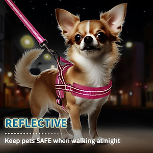 SlowTon No Pull Small Dog Harness and Leash Set, Puppy Soft Vest Harness Neck & Chest Adjustable, Reflective Lightweight Harness & Anti-Twist Pet Lead Combo for Small Medium Dogs (Fuchsia, XXS)
