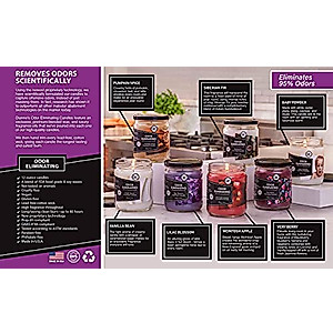 Vanilla Bean Odor Eliminating Highly Fragranced Candle - Eliminates 95% of Pet, Smoke, Food, and Other Smells Quickly - Up to 80 Hour Burn time - 12 Ounce Premium Soy Blend