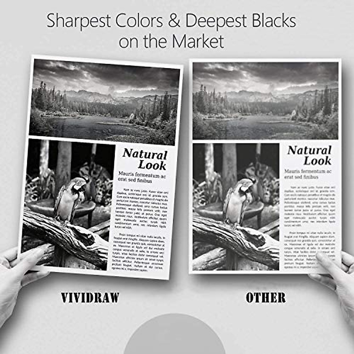 VIVIDRAW Compatible Ink Cartridge Replacement for HP 02 Work for HP PhotoSmart C6150 C6180 C7150 C7180 C7280 D7260 D7360 D7160 D7460 C8180 C6100 C5100 D7363 C5150 3110 3210 8250 8230 (3BLACK)