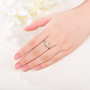 ZGBY Sun and Moon Ring 925 Sterling Silver Crescent Moon Sun Rings for Women Teens Lovers jewelry gifts (sun moon ring, 10)