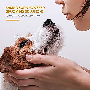 Arm & Hammer for Pets Soothing Oatmeal Pet Shampoo | Nourishing and Moisturizing Dog Shampoo with Gentle Cleansing formula | Vanilla Coconut Scent, 20 oz Bottle Shampoo for Pets