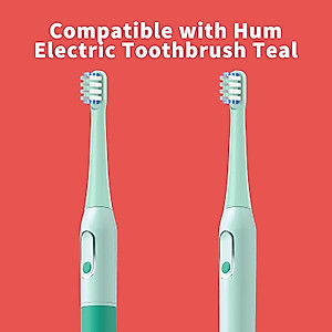 Replacement Toothbrush Heads Compatible with Colgate Hum Connected Smart Battery Toothbrush Refill Head, Green, 6 Pack