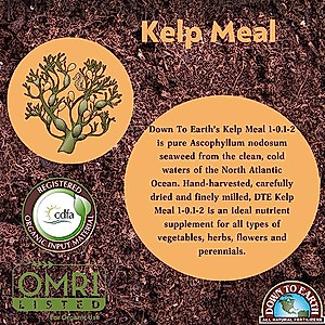 Down to Earth Kelp Meal 1-0.1-2, 5lbs