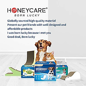 HONEY CARE All-Absorb, X-Large 28" x 34", 40 Count, Dog and Puppy Training Pads, Ultra Absorbent and Odor Eliminating, Leak-Proof 5-Layer Potty Training Pads with Quick-Dry Surface, Blue