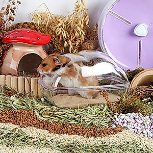 BUCATSTATE Sand Bath Container for Hamster Large Transparent Hamster Toilet with Scoop Dwarf Sandbox Dust Bathtub Small Animals Bathroom Hamster Cage Accessories (Transparent, Large)