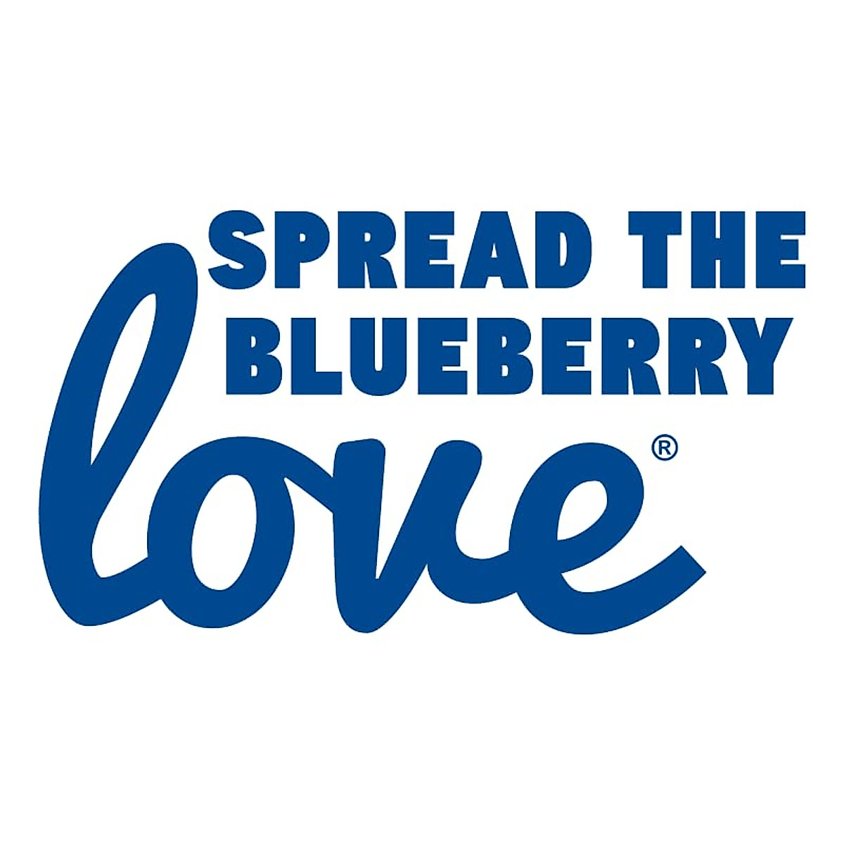 SHOW SEASON ANIMAL PRODUCTS 1 South Bark Blueberry-Clove Pet Cologne 8.5 oz. For Dogs | Long-Lasting Odor Eliminator | Cruelty-Free | Paraben-Free | Biodegradable and Non-Toxic | Made In USA