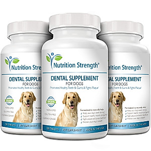 Nutrition Strength Dental Care for Dogs, Daily Supplement for Healthy Dog Gums and Teeth with Organic Kelp, Strawberry Leaf, Pumpkin Seed for Dog Mouth and Teeth Cleaning, 120 Chewable Tablets