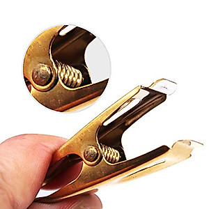 AITRAI Stainless Steel Clothespins-50 Pack Gold Clothespins Wire Metal Clothes Pins Laundry Clips for Outdoor Clothesline Home Kitchen Travel Office Decor Food Bag (Gold)