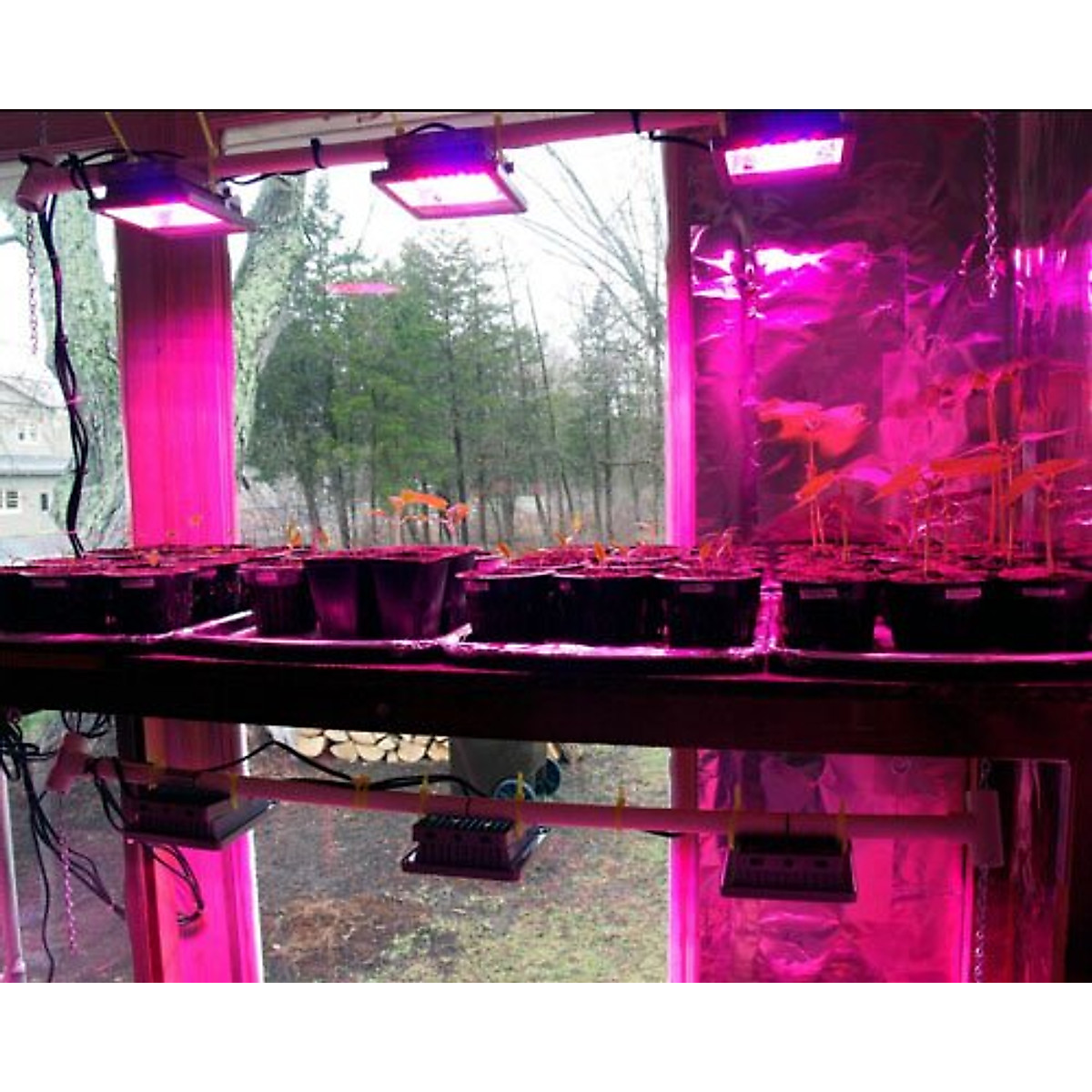 ACKE LED Grow Lights Full Spectrum,Plant Lights，Growing Lamps 12W for Indoor Plants,Hydropoincs