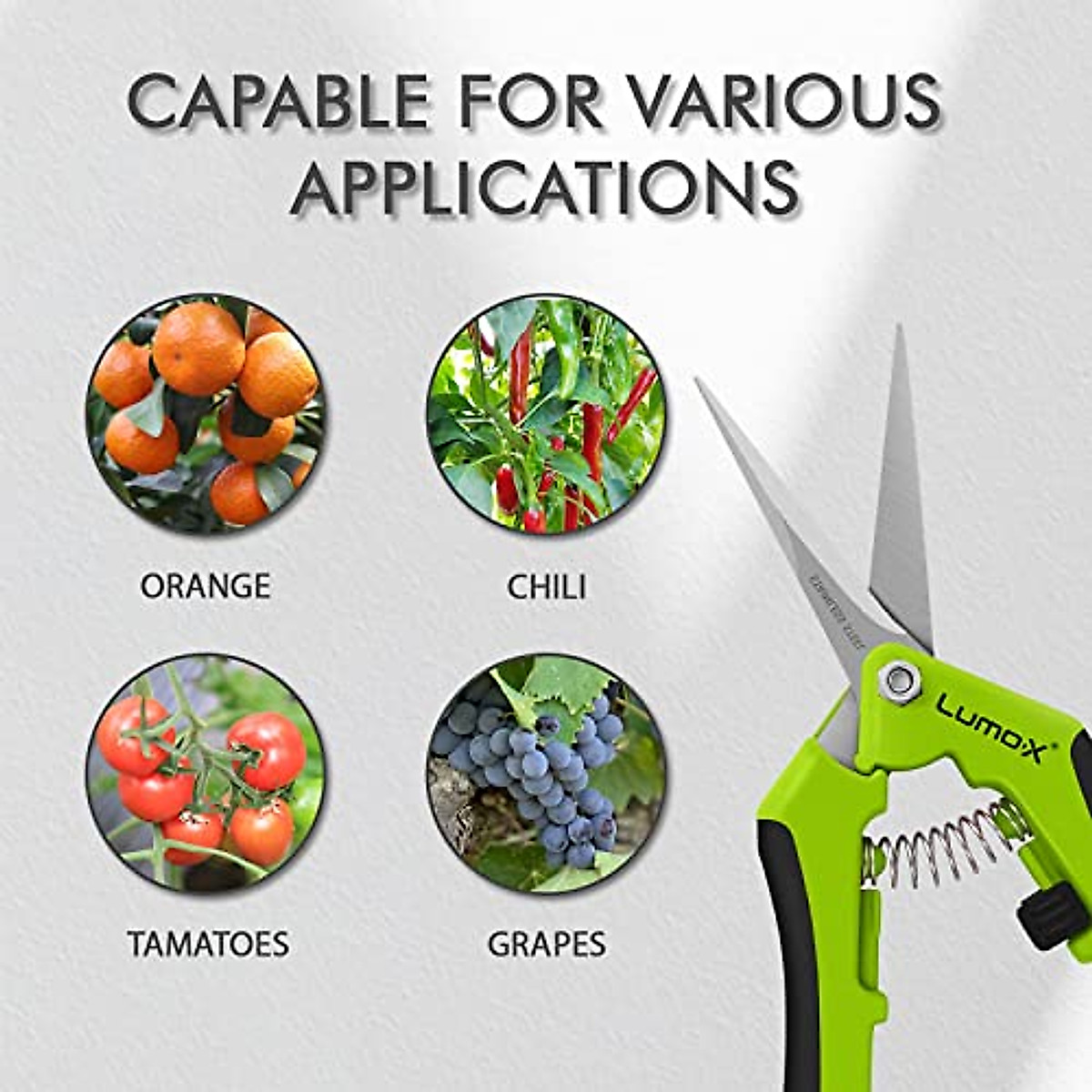 Lumo-X Trimming Scissors Pruning Snips with Titanium Coated CURVED Blades & STRAIGHT Blades for Precision Buds Trimming, Indoor/Outdoor Garden Trimming, Bonsai, Hydroponics (Green & Blue - Set)