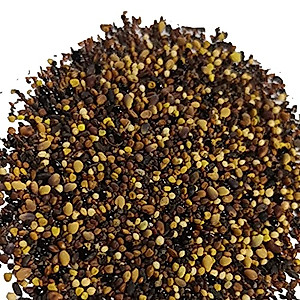 KOqwez33 Seeds Plant for Garden Decoration,300Pcs Mixed Succulent Plant Seeds Ornamental Potted Bonsai Garden Balcony Decor - Mix Succulent Seeds