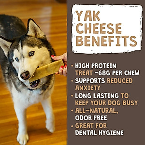 Mighty Paw Yak Cheese Dog Chews, 5oz, Natural Yak Chews for Dogs, Long-Lasting Yak Chew Treats, Odorless, Supports Oral Health, Monster Size, 4 Pack