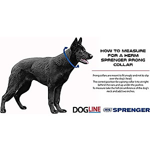 Herm Sprenger Black Stainless Steel Prong Dog Training Collar Ultra-Plus Pet Pinch Collar No-Pull Collar for Dogs Anti Pull Training Collar Made in Germany 3.2mm x 23in Medium