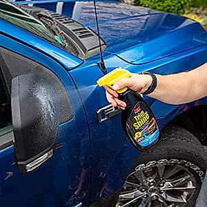 Stoner Car Care Trim Shine Protectant 22-Ounce