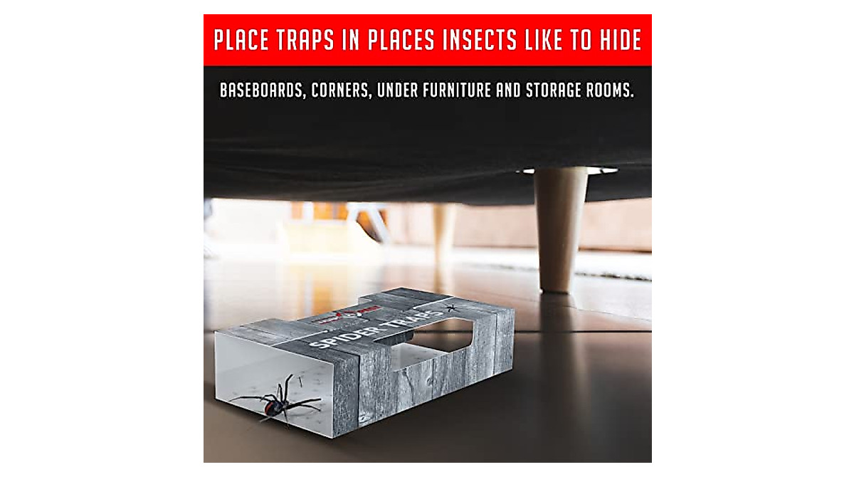 Effective Spider Traps for Home - 16 Pack