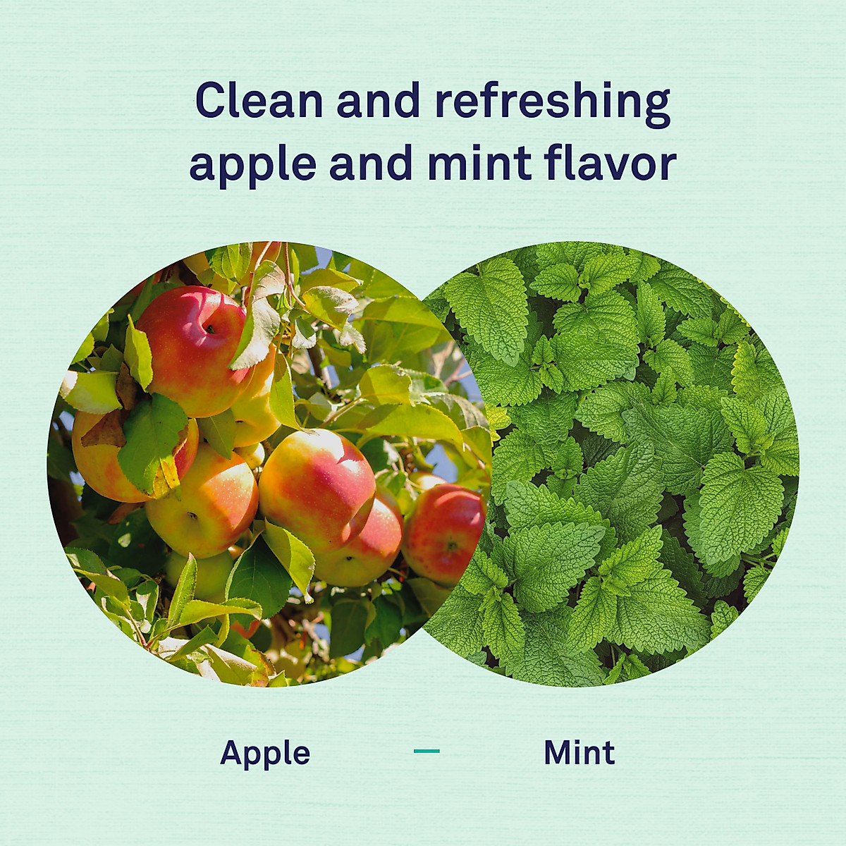 Petpost | Dental Wipes for Dogs - Bad Breath and Tooth Buildup Remover - Presoaked Pads in Natural Tooth Cleaning Solution 100 ct.