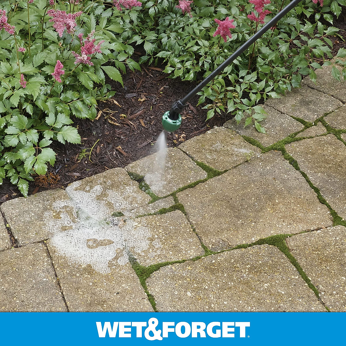 Wet & Forget Moss, Mold, Mildew, & Algae Stain Remover Multi-Surface Outdoor Cleaner Concentrate, Original, 128 Fluid Ounces