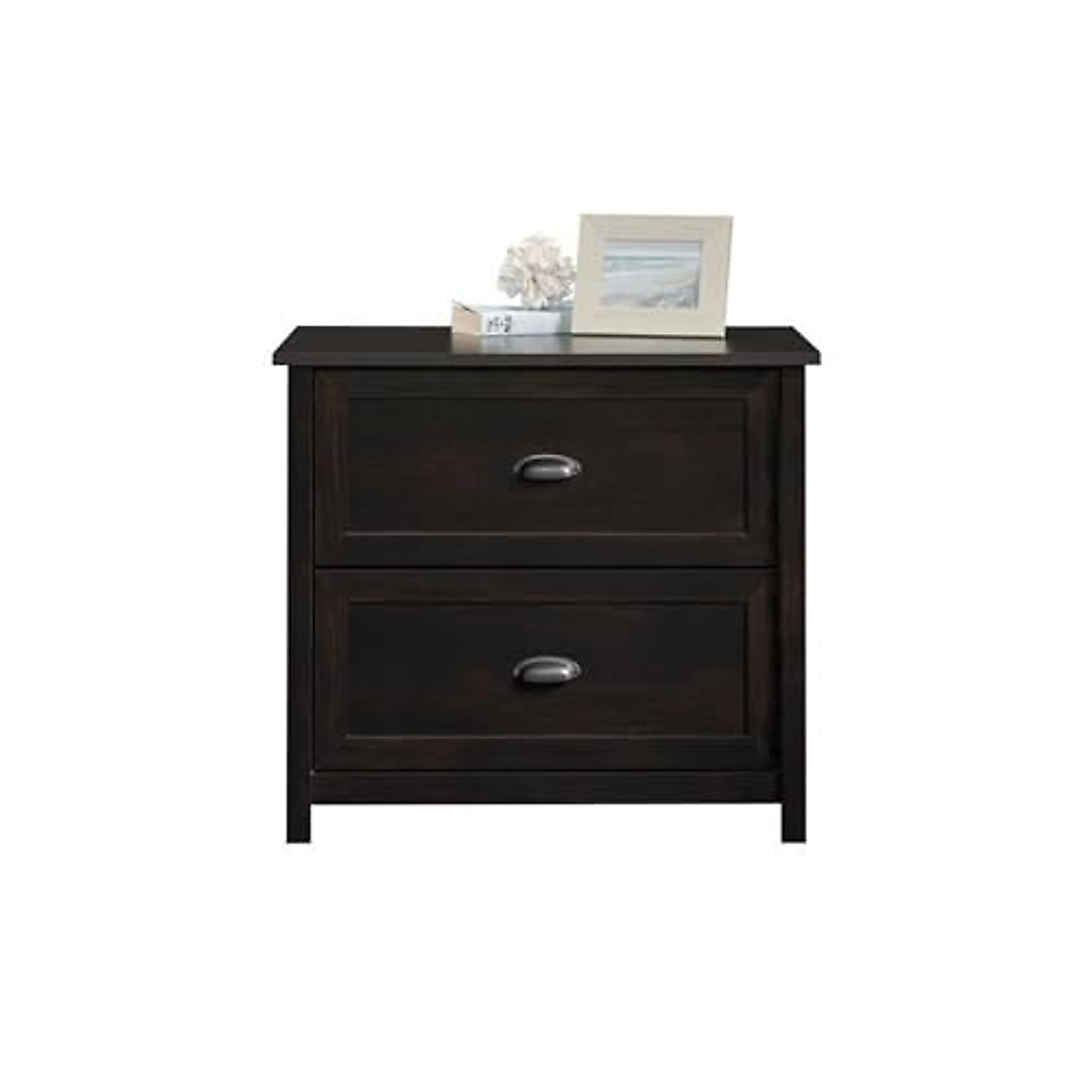 Pemberly Row Engineered Wood 2-Drawer Lateral File Cabinet in Estate Black