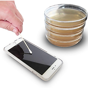 Tryptic Soy Agar (TSA) Plates by Evviva Sciences - Prepoured TSA Petri Dishes - Excellent Product and Performance - Top Science Kit for Science Fair Projects- Intended for Ages 15 & Older
